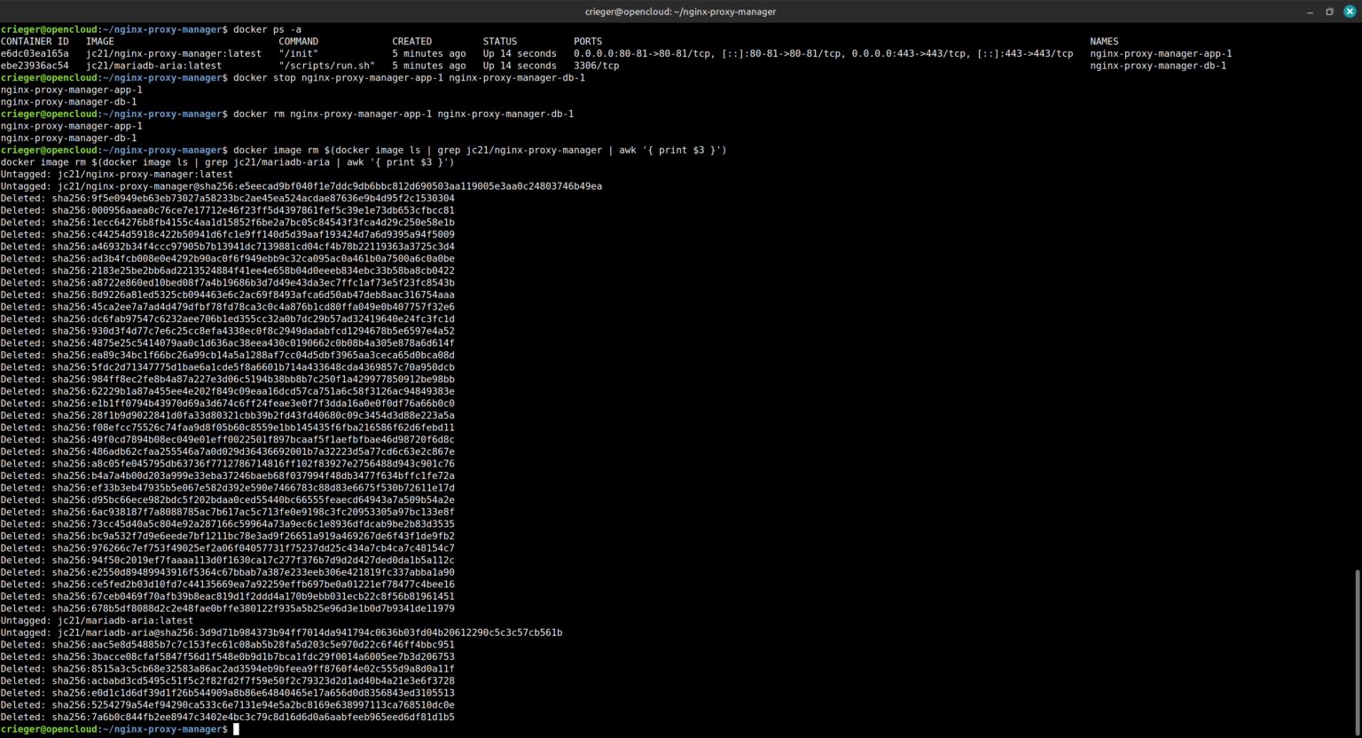 Nginx Proxy Manager mit Nextcloud - Carsten Rieger