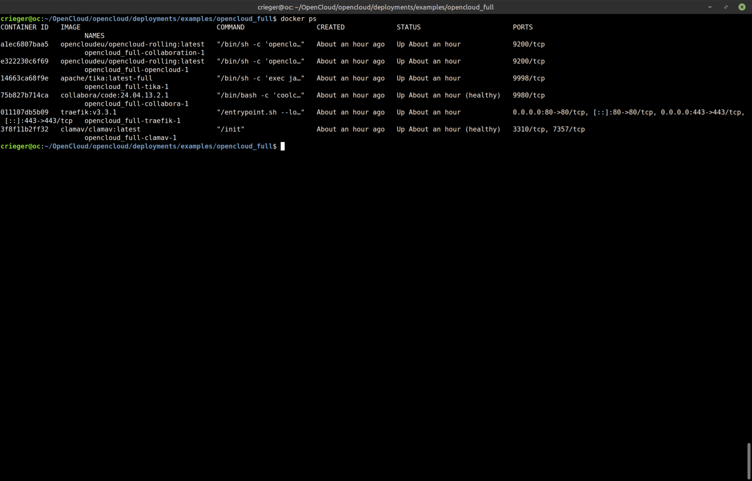 OpenCloud Installationsanleitung - Carsten Rieger